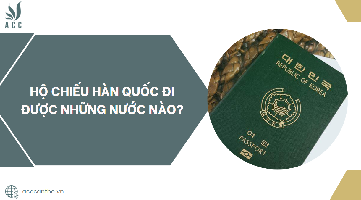 Mẫu X01 tờ khai cấp hộ chiếu